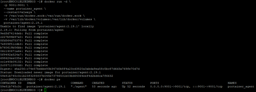How to Connect Portainer to Docker Standalone Using Agent – Knowledge ...